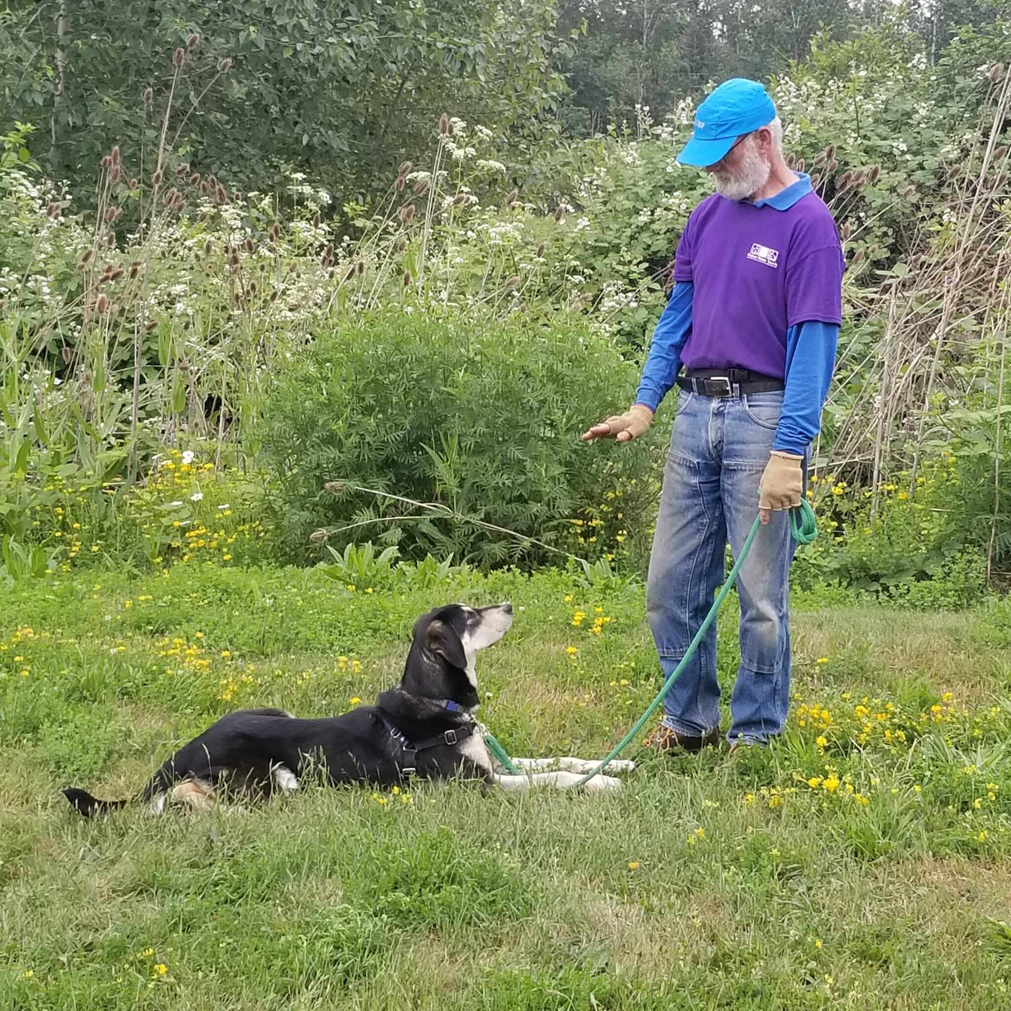 Pet Care and Community Resources | Whatcom Humane Society