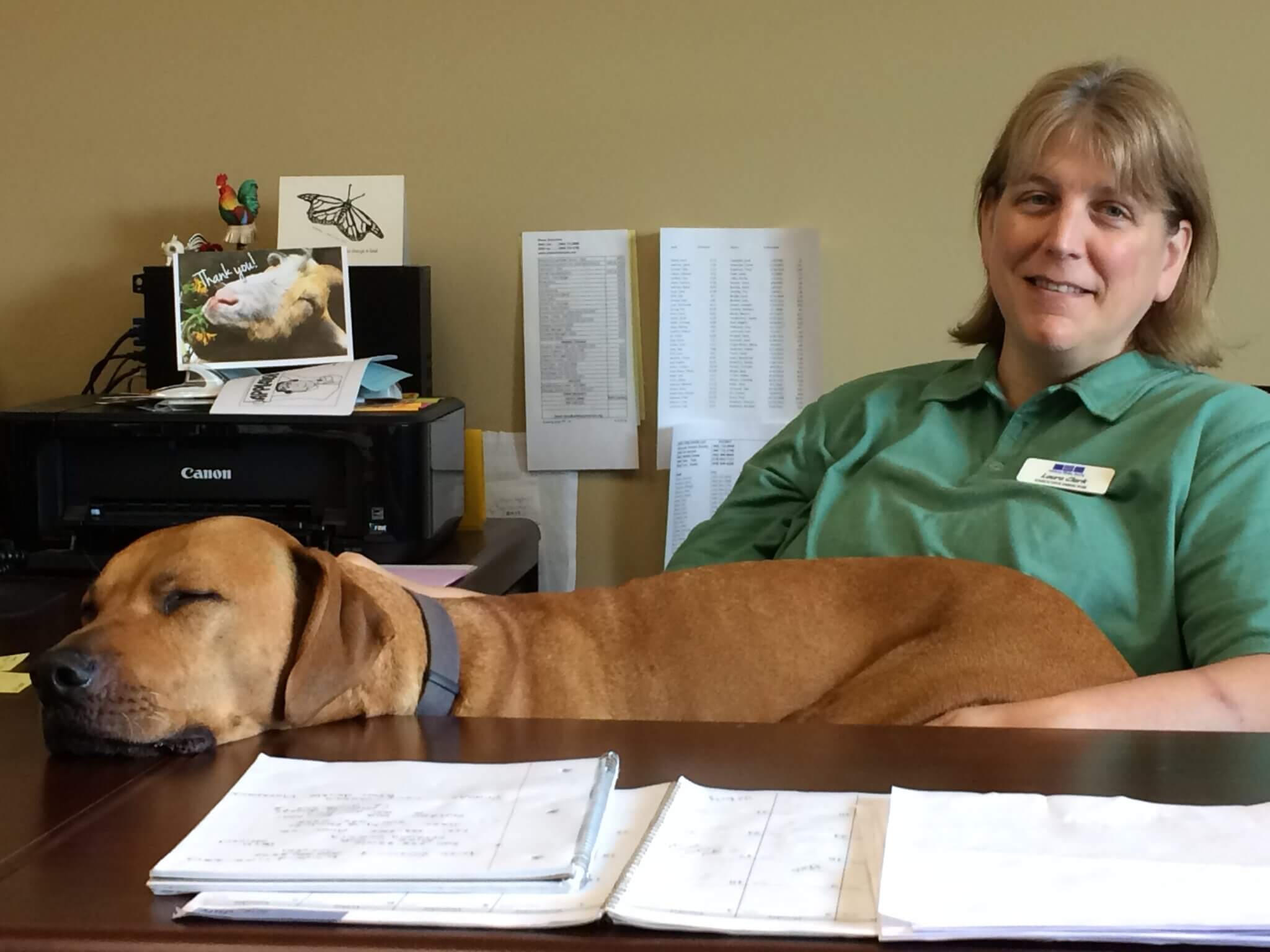 What It Means & Takes To Work Together As A Community | Whatcom Humane ...
