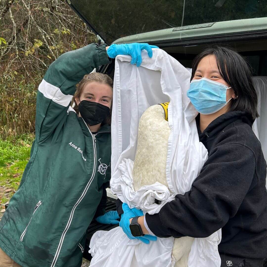 It Takes a Village: Interviews with WHS Staff & Volunteers | Whatcom ...