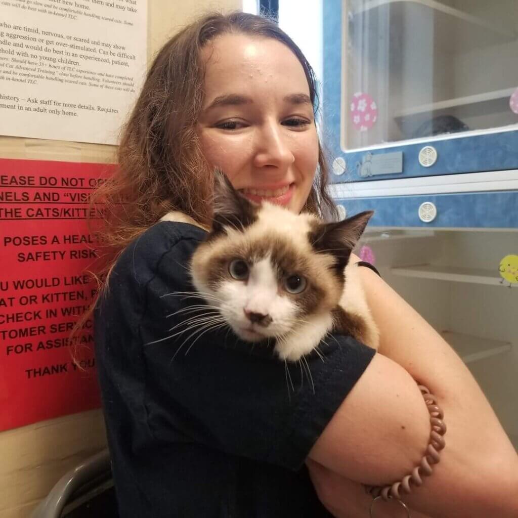Care Beyond The Shelter: WHS Cat Foster Program | Whatcom Humane Society