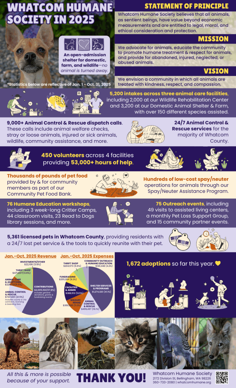 Whatcom Humane Society 2025 Infographic | Whatcom Humane Society